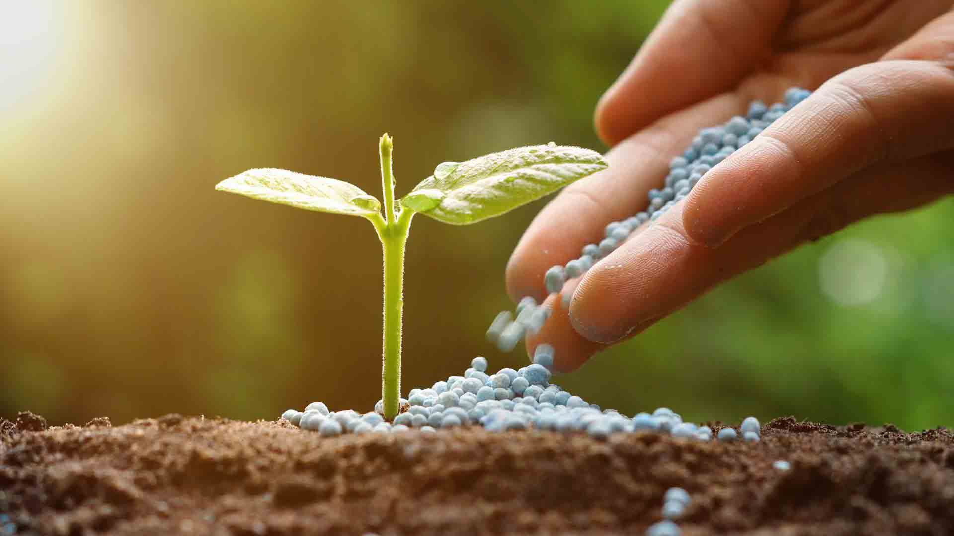 Engrais et Phytos | La Plaine