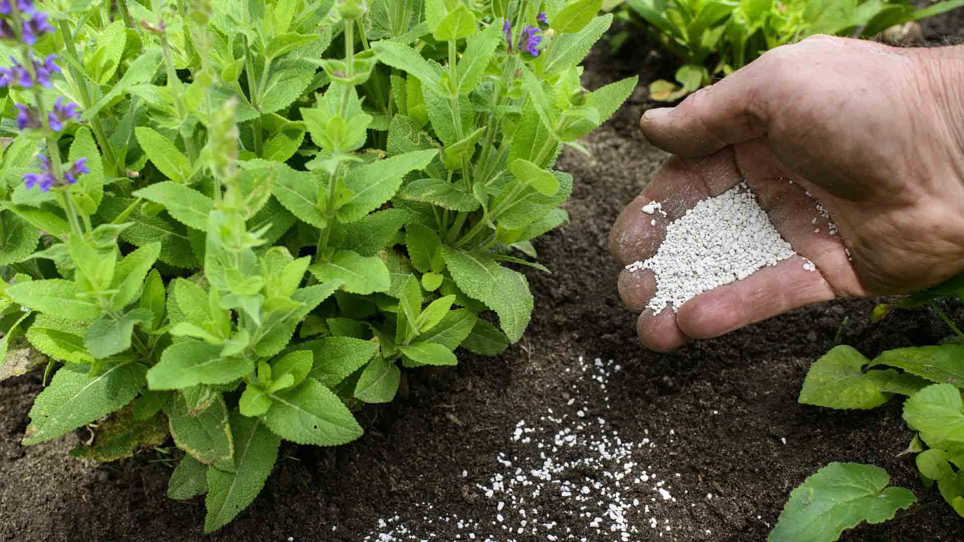 Engrais de qualité | La Plaine